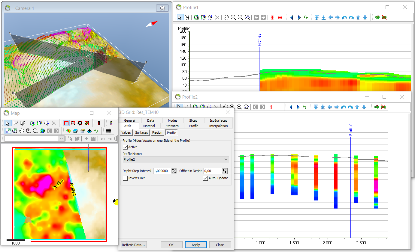 3D Grid with profile limit [GeoScene3D]